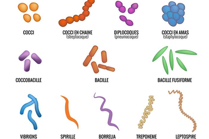 Fiches informatives - Paroconseil